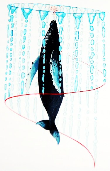 Home [bubblenet.co.za]